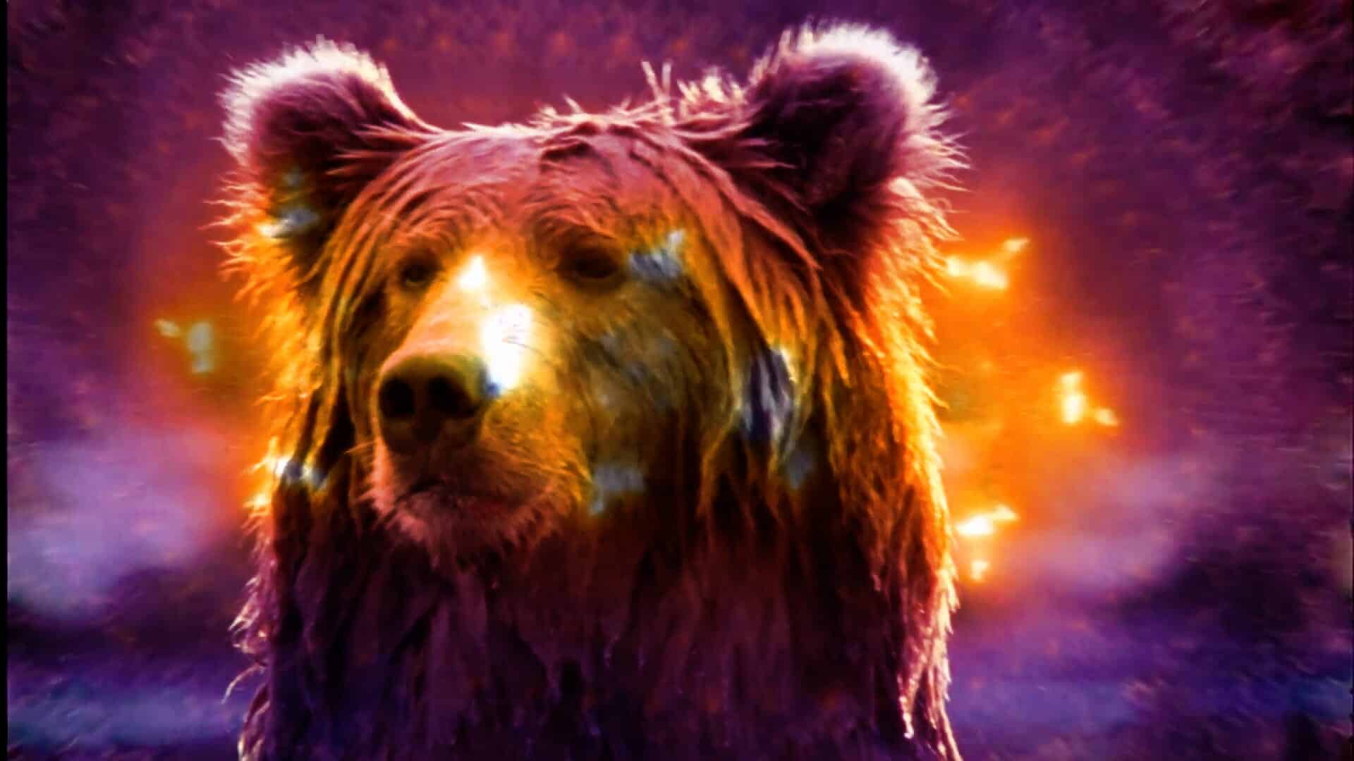 portfolio • bluedot productions